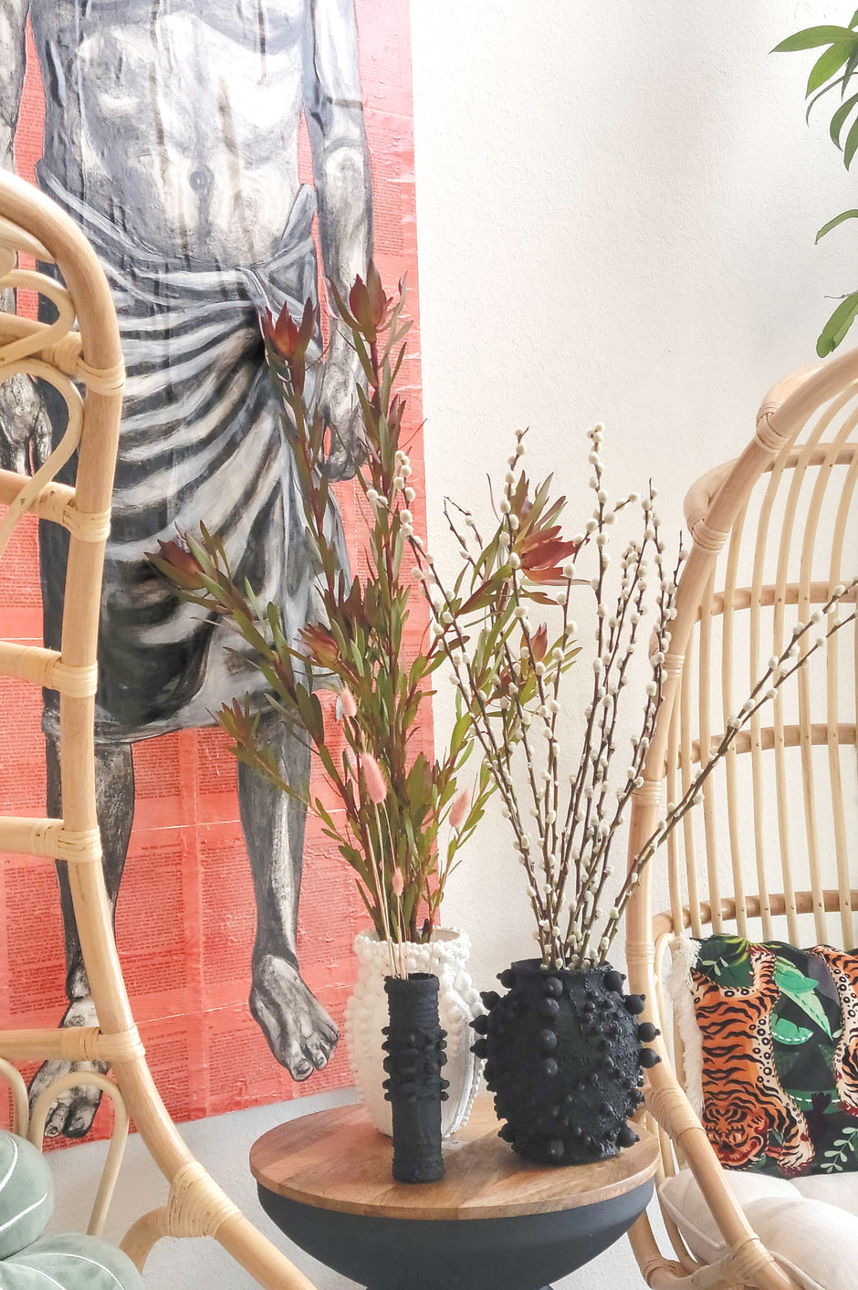 Beginner-Friendly Rare House Plants (Yes, They Exist!) – Jungle Relics